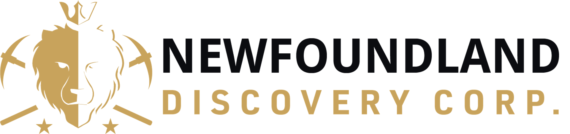 CEO.CA | #newd Newfoundland Discovery Corp Com (NEWD.CN)