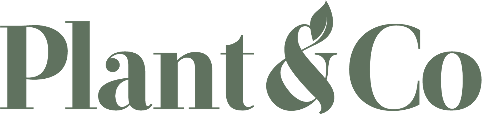 CEO.CA | #hbfg Happy Belly Food Group Inc Com (HBFG.CN)