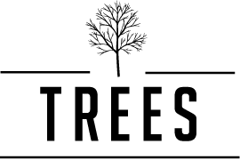 CEO.CA | #tree TREES CORPORATION (TREE.NEO)